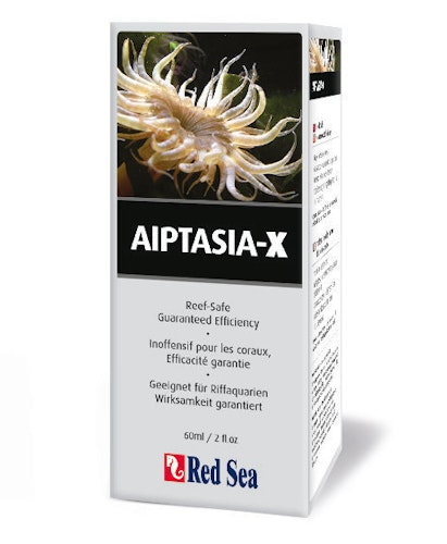 Red Sea Aiptasia-X 60 ml Behandlungskit online kaufen